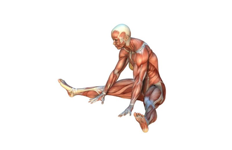 10 Stretching Exercises That'll Make You More Flexible In 4 Weeks