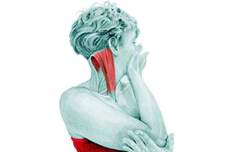 30 Muscle Stretching Techniques That'll Teach You How To Stretch Every ...