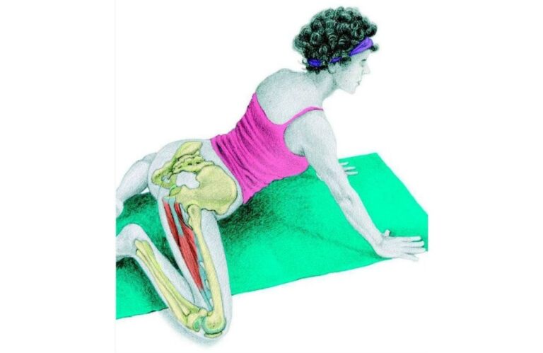 30 Muscle Stretching Techniques That'll Teach You How To Stretch Every ...