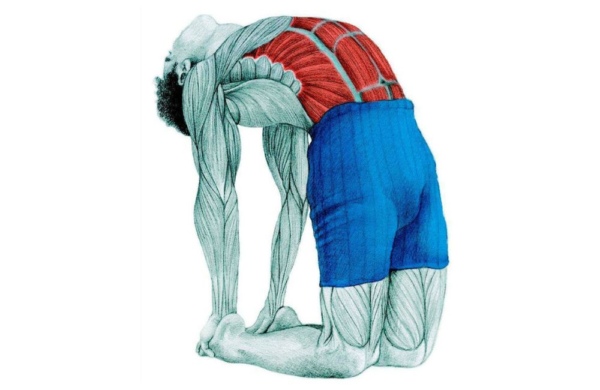 30 Muscle Stretching Techniques That'll Teach You How To Stretch Every ...