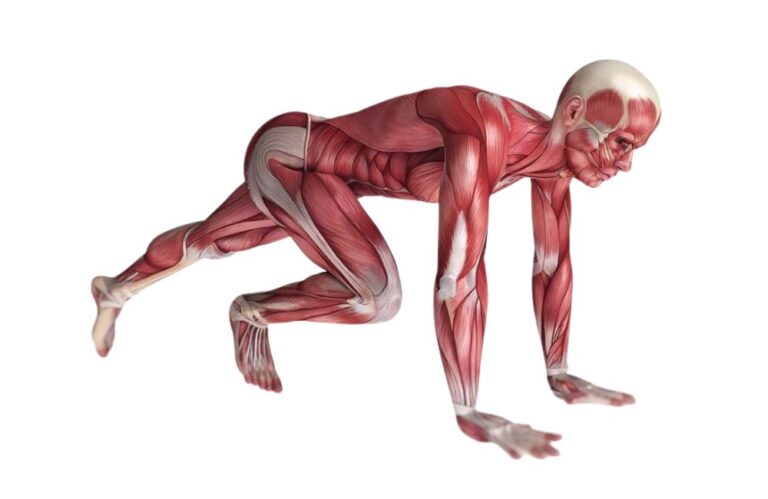 All It Takes Is 7 Moves and 15 Minutes To Build Muscle in Your Whole ...