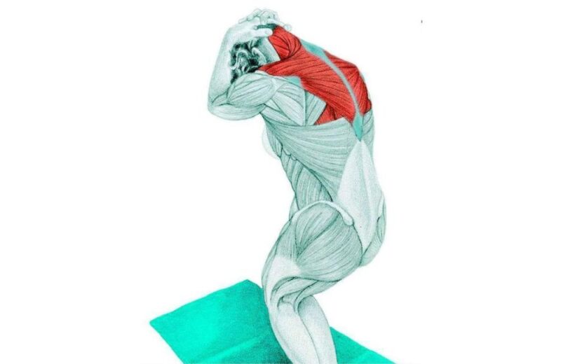 30 Muscle Stretching Techniques That'll Teach You How To Stretch Every ...