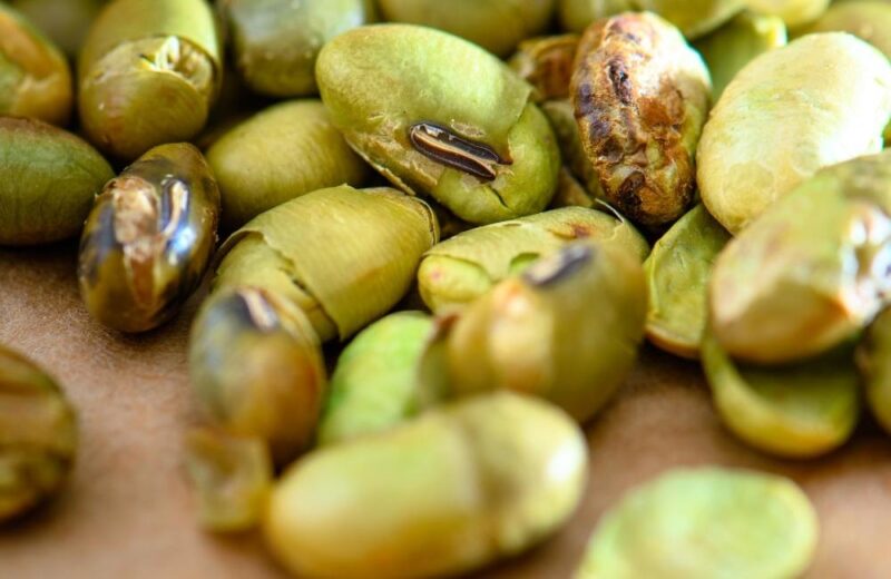 20 Healthy Snacks to Keep You Full
