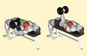 Forget the Gym. You Only Need This 20-Minute, Five-Move, One-Dumbbell ...