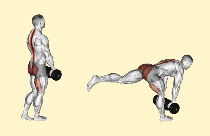30 Best Dumbbell Exercises to Work Every Body Part
