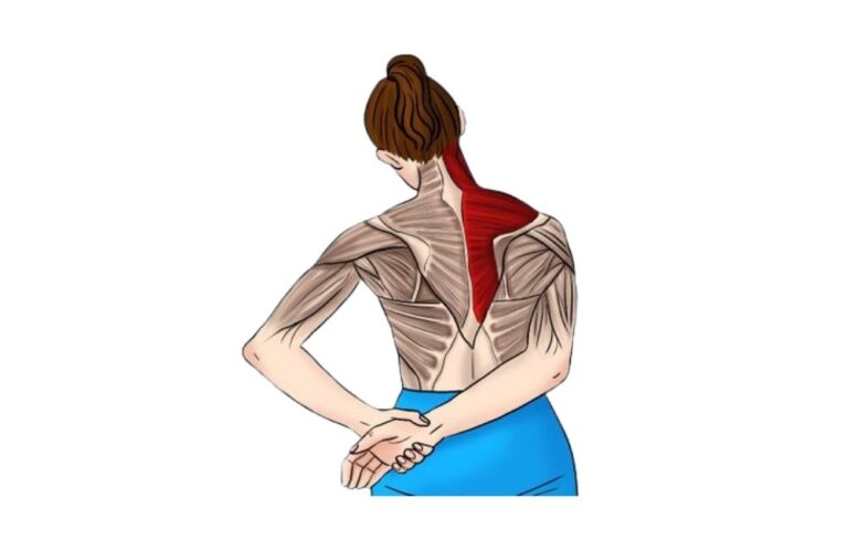 11 Simple Stretches To Relieve Neck and Shoulder Tension