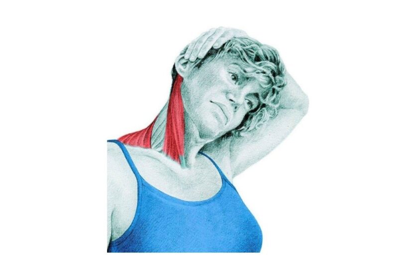 11 Simple Stretches To Relieve Neck and Shoulder Tension