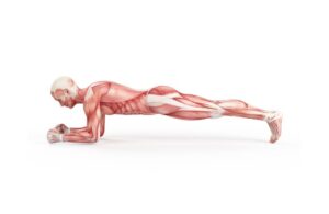 5 Best At-home Exercises To Lose Belly Fat, Trainer Reveals