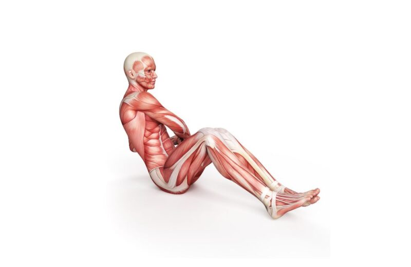 The Only 5 Exercises You Need To Burn Belly Fat Fast in Just 4 Minutes ...
