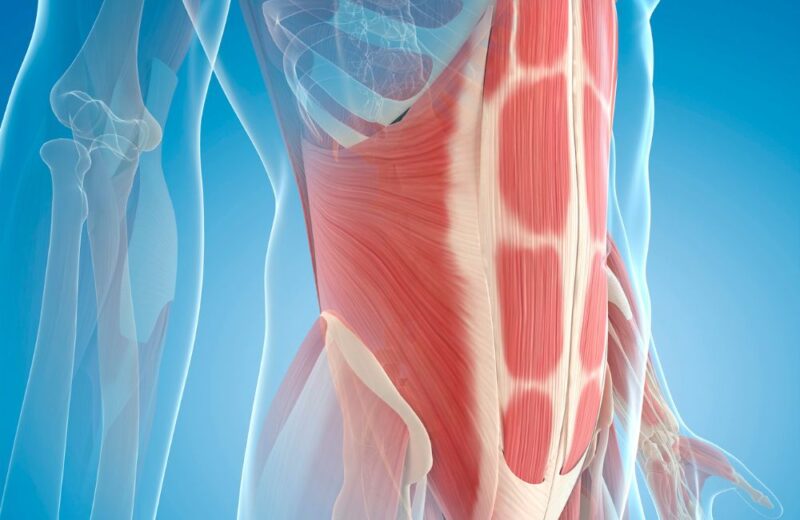 These Are The 11 Must-Do Ab Workouts for a Ripped Core (Six-Pack Abs)