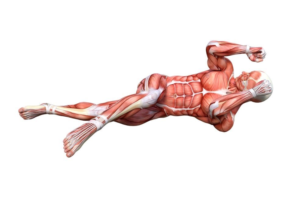 These Are The 11 Must Do Ab Workouts For A Ripped Core Six Pack Abs These Are The 11 Must Do Ab Workouts For A Ripped Core Six Pack Abs