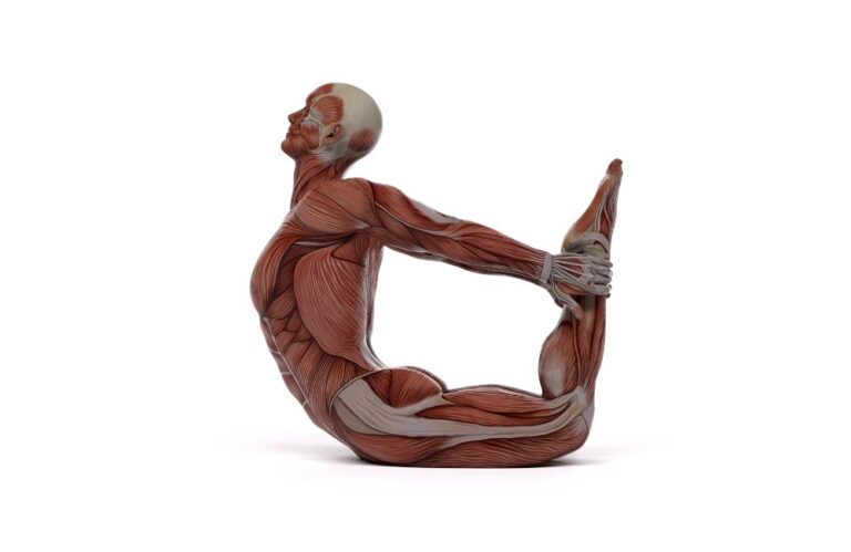 13 Amazing Stretches That'll Restore Your Lower Back Health— No More ...