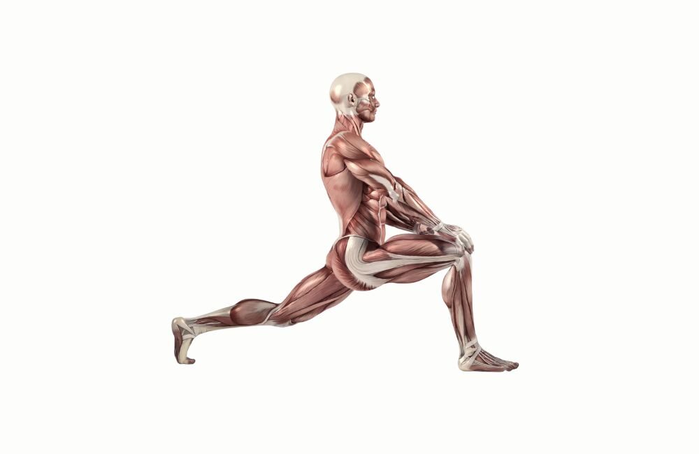 Regain Hip Mobility and Strength After 60 With These Exercises