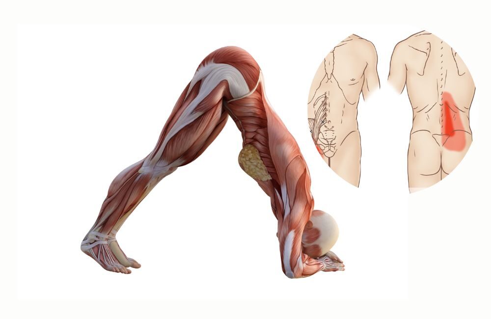 I m A PT And These Are The 3 Daily Stretches I Recommend For Back Pain