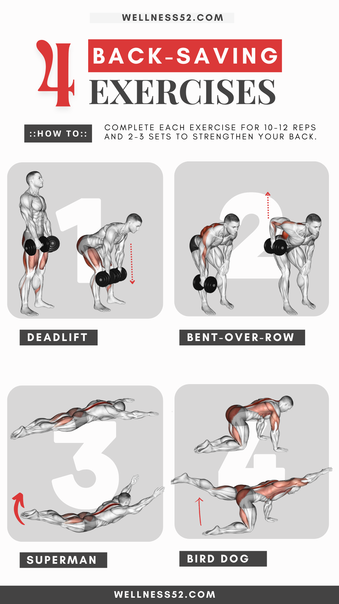 7 Workout Charts that'll Teach You How to Exercise Correctly